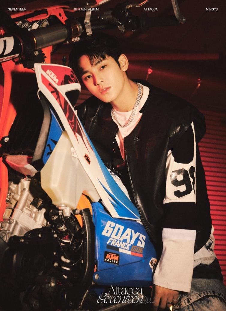 Mingyu birthday zodiac 60 photos - Astrologytoyou.com